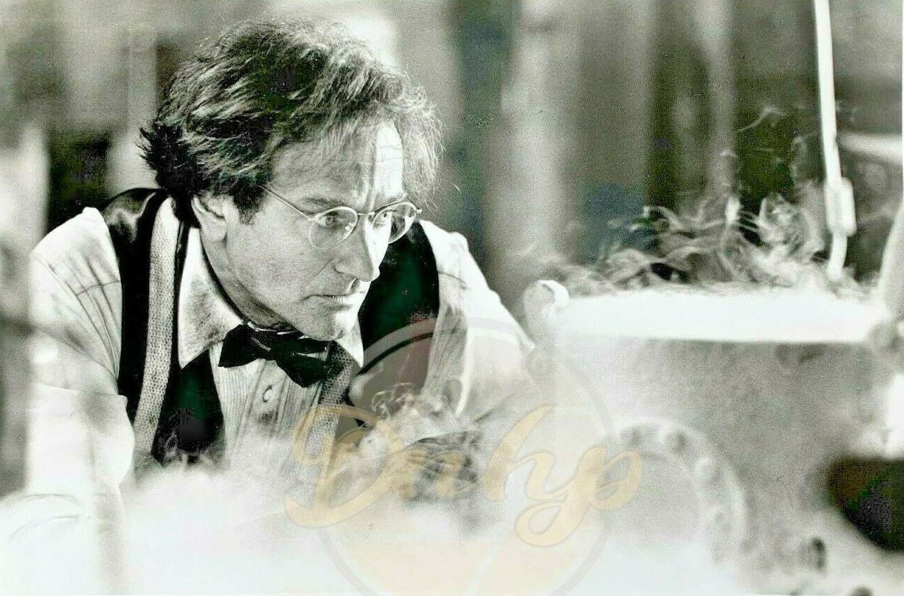 ROBIN WILLIAMS Flubber 8x10 B&W (1 photo) 1997 Movie Promotional Lobby Card