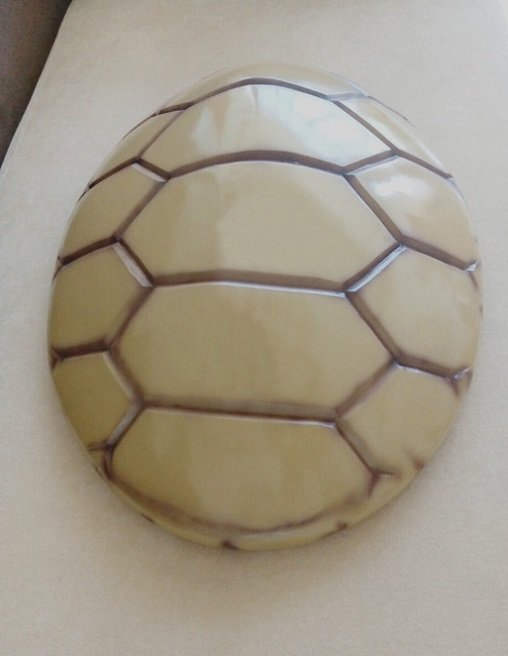 DB Master Roshi Cosplay Turtle Shell