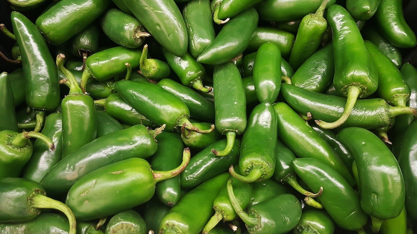 10 Seeds Famous Spanish Heirloom Padron Pepper