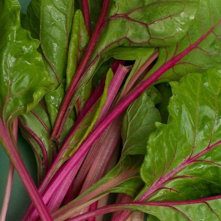 20 Seeds Perpetual Spinach varieties Swiss Chard Pink Flamngo
