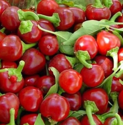 20 Seeds Cherry Bomb Red Hot Chile Pepper