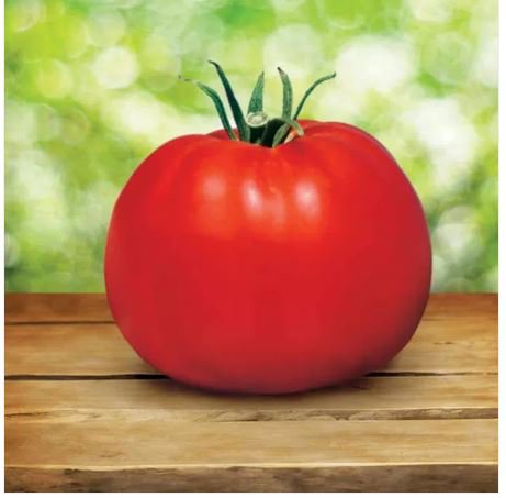 100 Seeds Park's Whopper CR Improved Hybrid Tomato