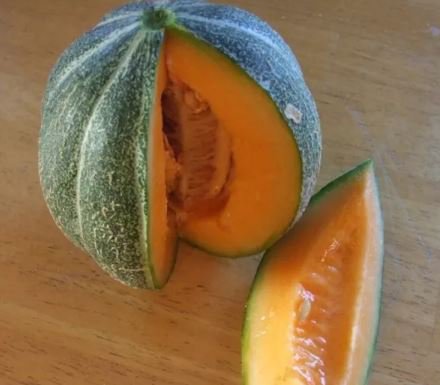 20 seeds Rare Heirloom Small Emerald Gem Melon Cucumis Melo Seeds