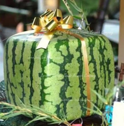 50 seeds Big Red Sweet Square Watermelon Heirloom
