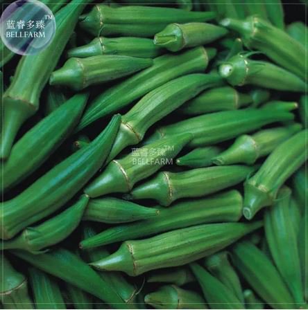300 seeds Okra Dark Green Shot Gumbo Vegetables Seeds