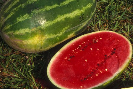 20 Seeds The Rarest Red Mini Thumb Watermelon