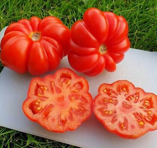 100 Seeds Rare Zapotec Ruffled Tomato Organic Seeds