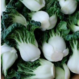 5 Seeds Dwarf No.1 Cabbage