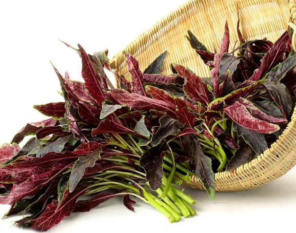 10 Seeds Edible Amaranth Red Fine-leaved Vegetables