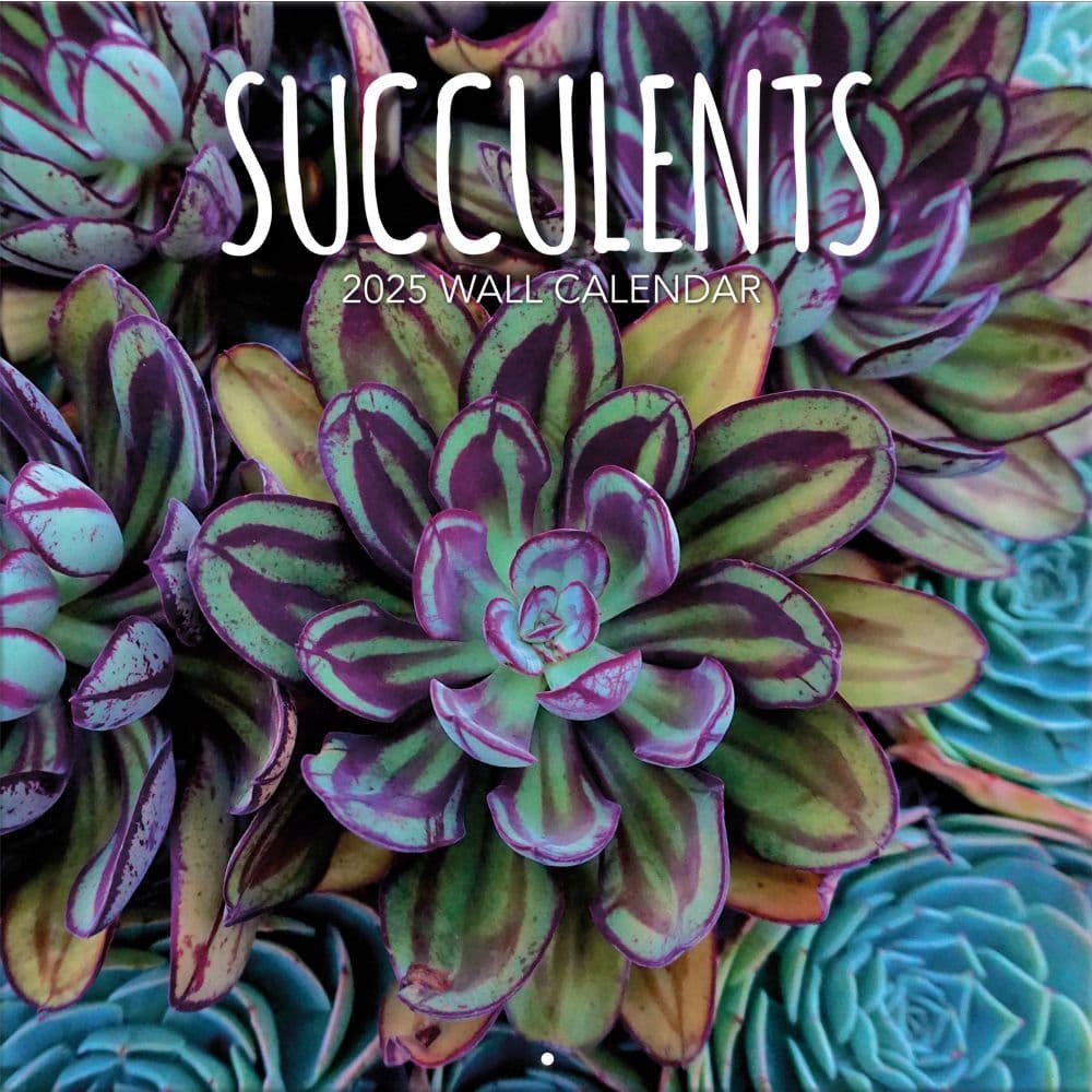 Succulents Photographic 2025 Wall Calendar