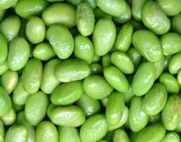 Soybean Deliciously Sweet Flavor With High Nutritional Content Proteins ...