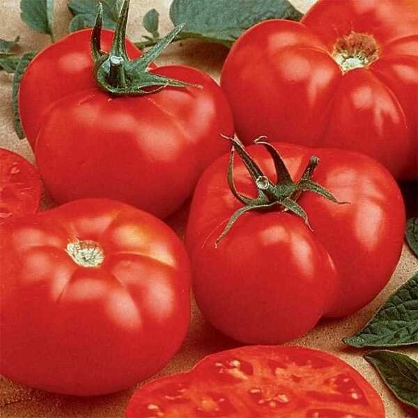 50 Seeds Goliath Tomato Hybrid Red Juicy Tomatoe Vegetable Fresh Garden