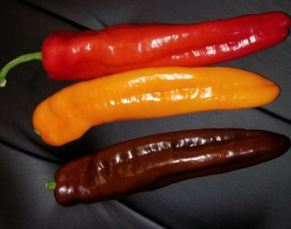 25 Seeds Sweet Jumbo Twister Peppers Vegetables Healthy Planting Fresh ...