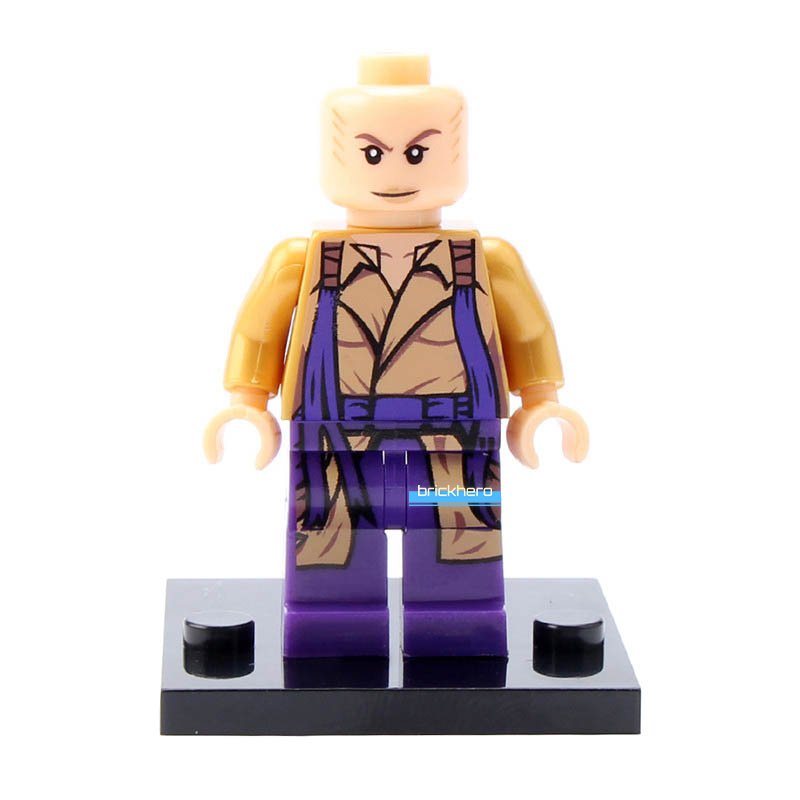 LEGO Compatible Marvel Universe Superhero The Ancient One Custom ...