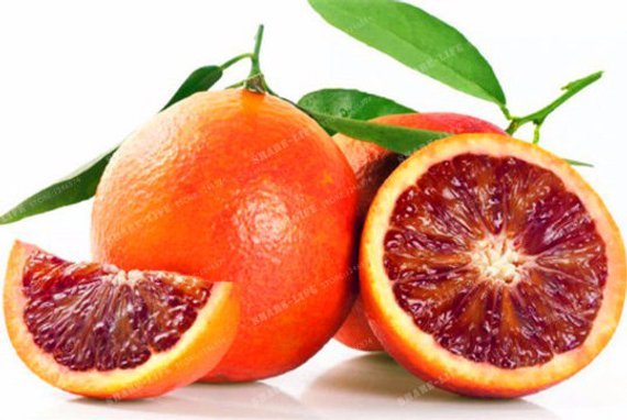 30 Rare Red Lemon Tree High Survival Rate Fruit SEEDS