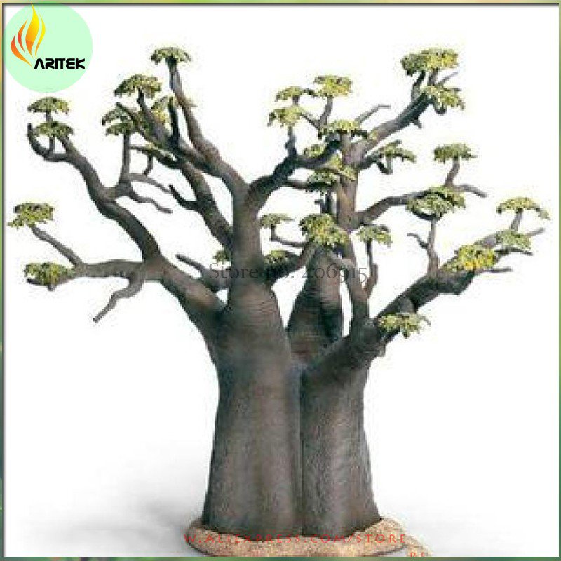 Adansonia Digitata Bonsai African Baobabs 2 plants Seeds