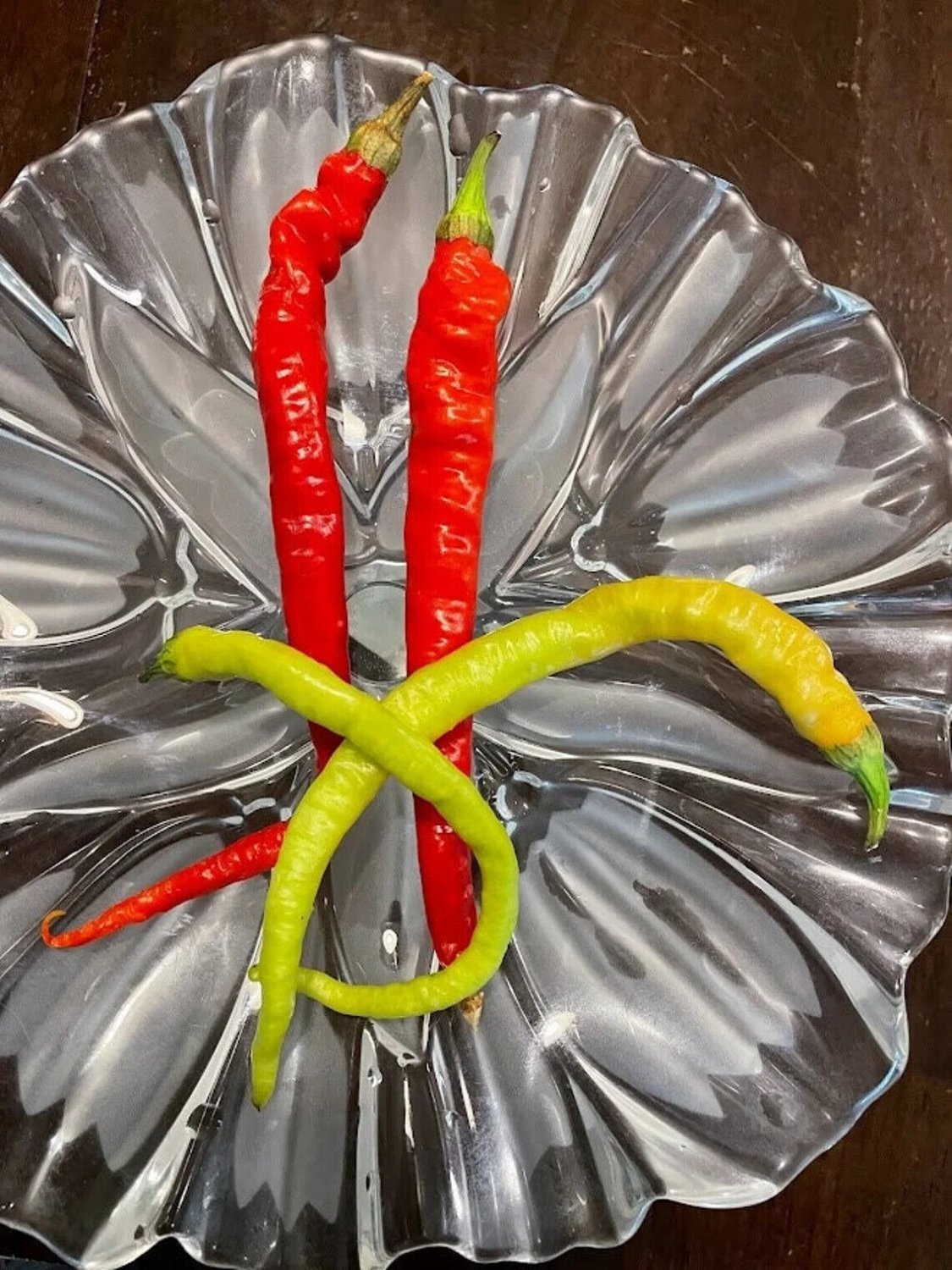 Turkish Snake Peppers Edible Planting Vegetable Garden 25 seeds