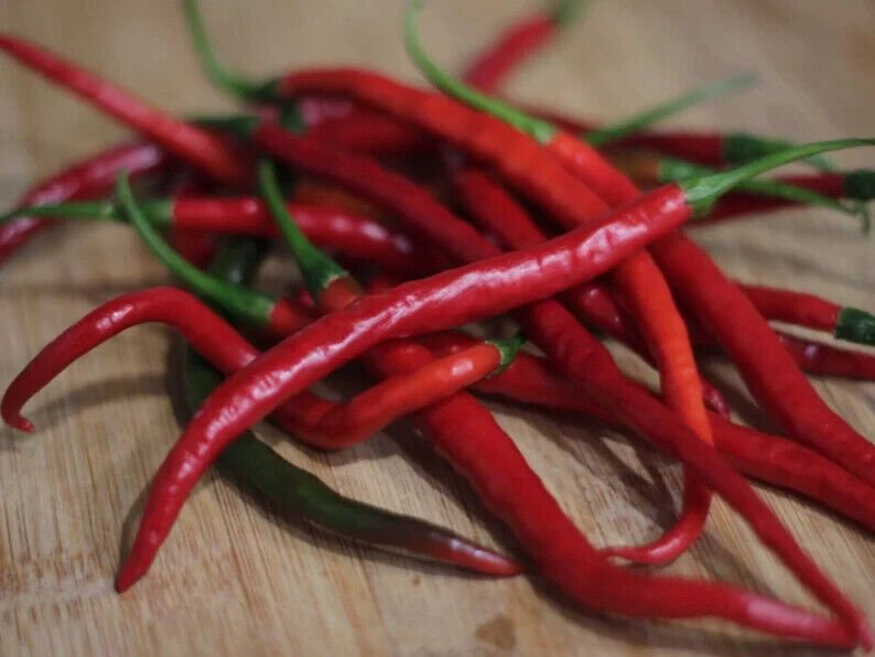 Gong Bao Peppers Edible Planting Vegetable Garden 25 seeds