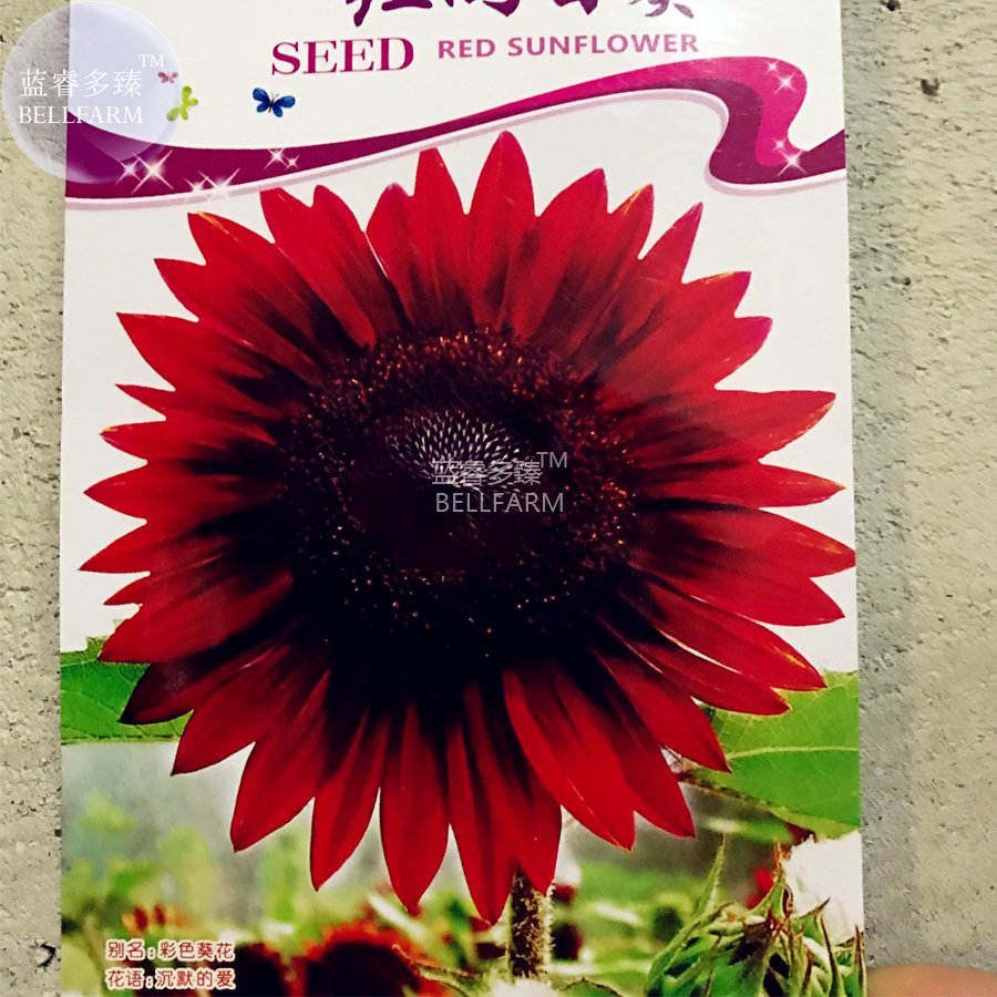 BELLFARM Sunflower Dark Red & Fresh Red Flower Seeds, 6 seeds,