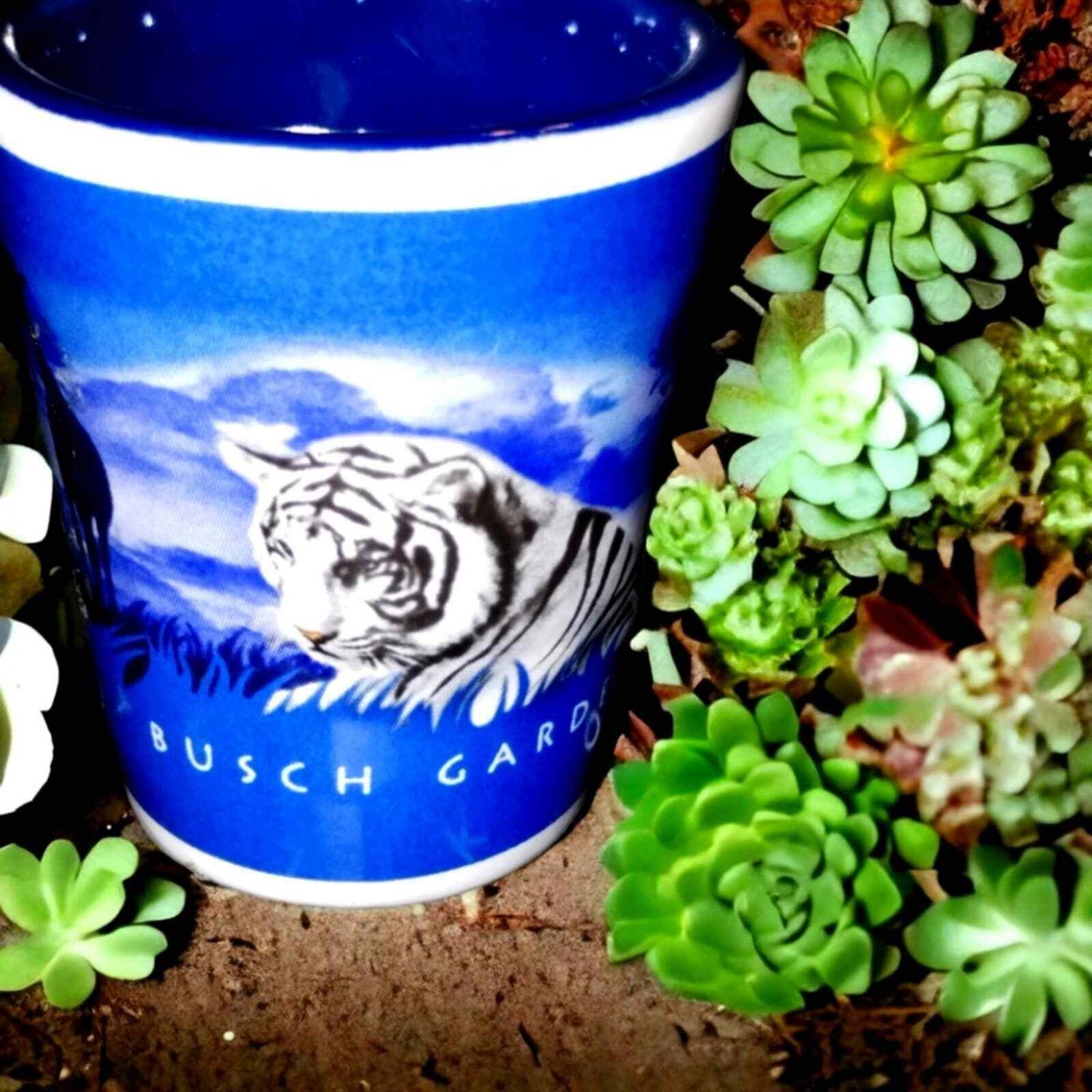 Busch gardens souvenir tiger and elephant shot glass