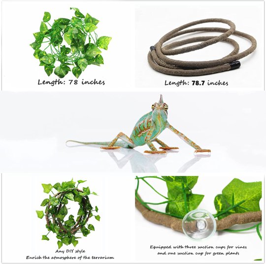 Hanging Jungle Vines for Terrariums - Habitat Decorations with Suction Cup