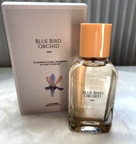 Zara Blue Bird Orchid Eau De Parfum Woman Fragrance 100ml 3.4 Oz