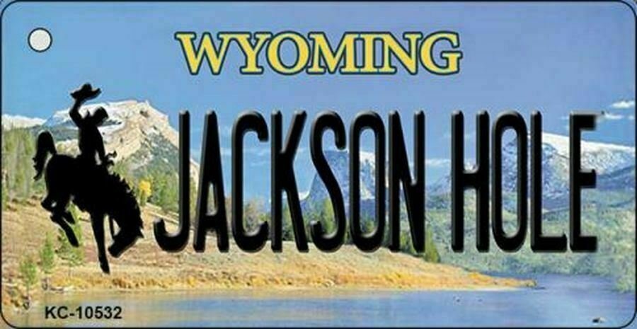 Jackson Hole Wyoming State Background Novelty Metal Key Chain