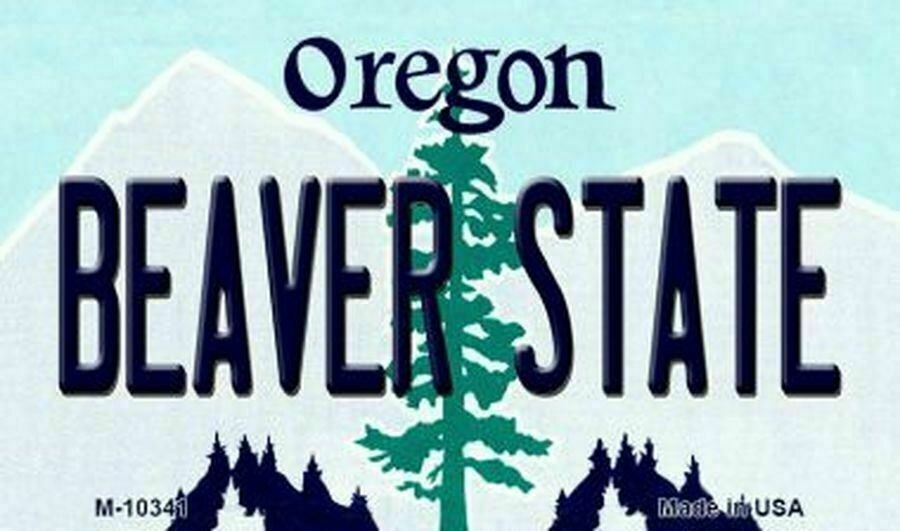 Beaver State Oregon State Background Metal Magnet