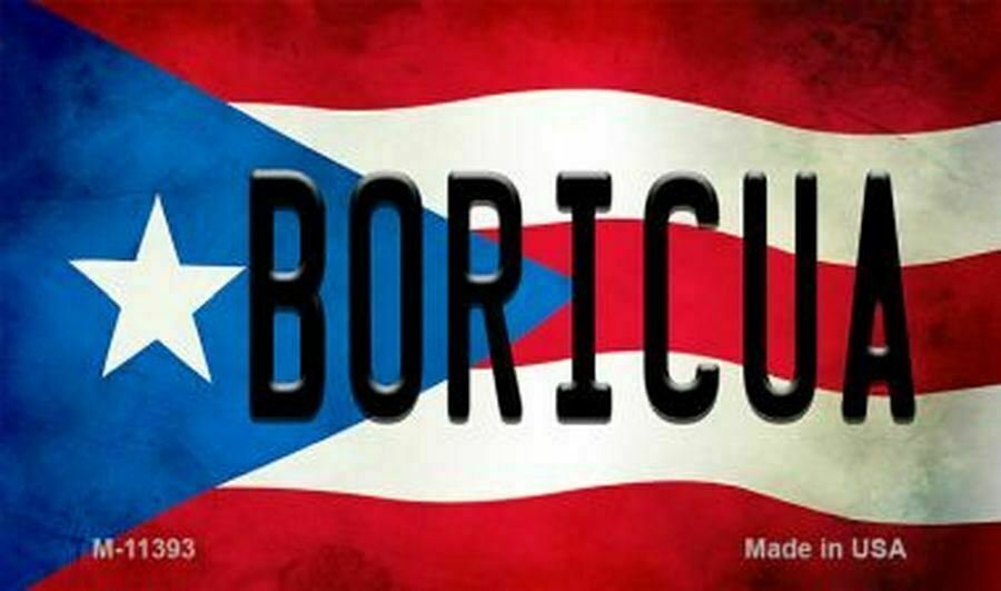 Boricua Puerto Rico Flag Background Metal Magnet