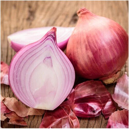 Ruby Red Onion Seeds | Non-GMO | Vegetable Seeds | Free Shipping | Seed ...