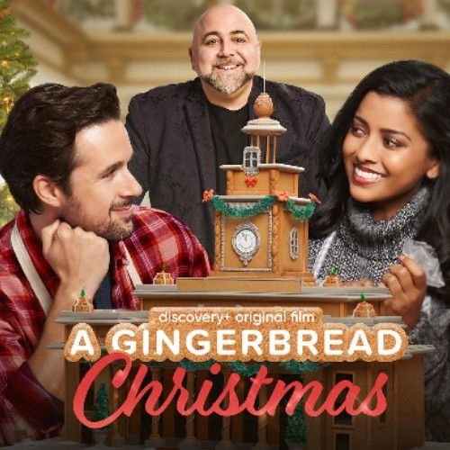 A GINGERBREAD CHRISTMAS DVD 2022 DISCOVERY MOVIE - Tiya Sircar