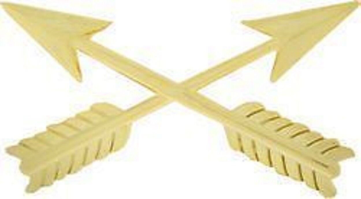 ARMY SPECIAL FORCES CROSSED ARROWS MILITARY PIN