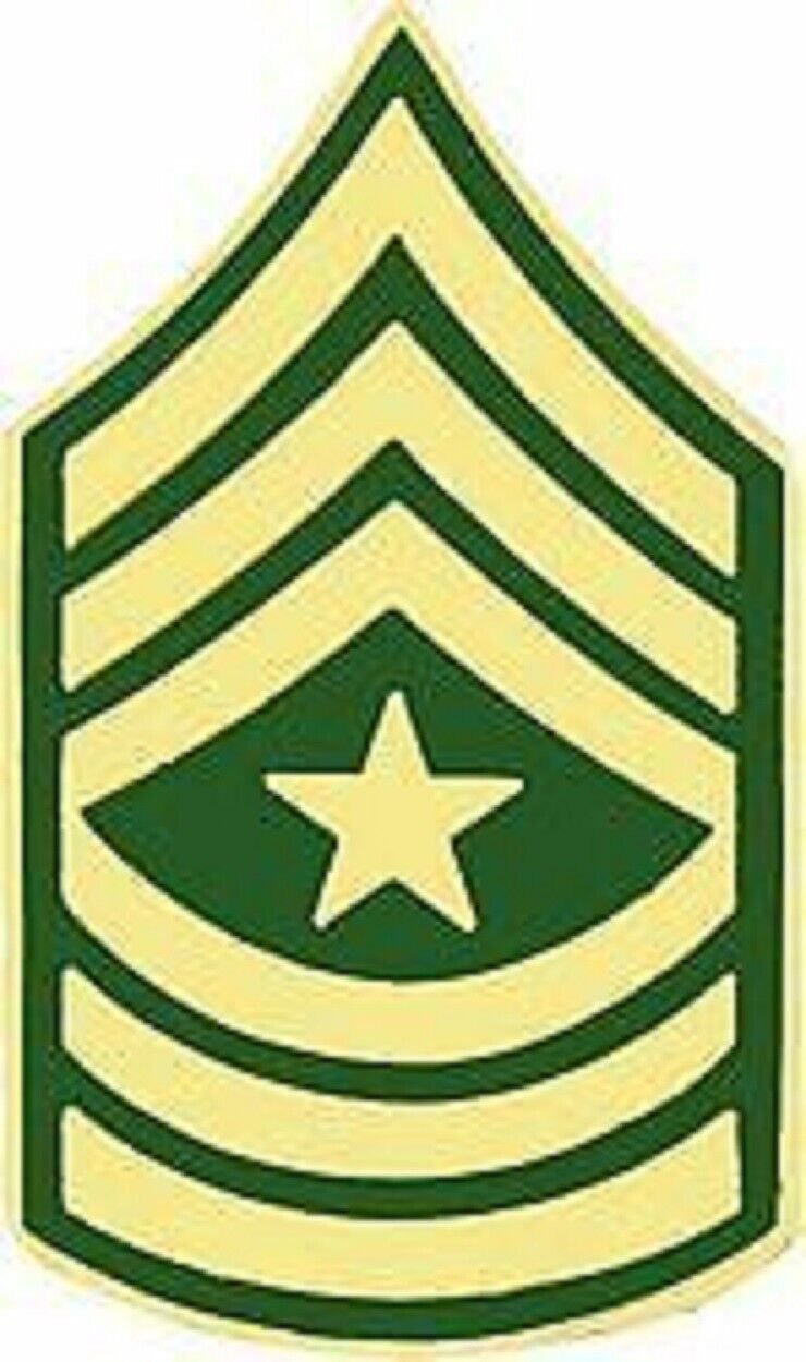 ARMY E-9 SERGEANT MAJOR MILITARY RANK LAPEL HAT PIN