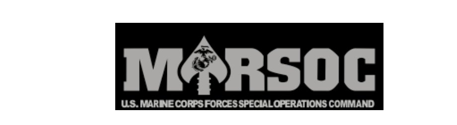 4" us marine corps marsoc special operations bumper sticker decal usa made
