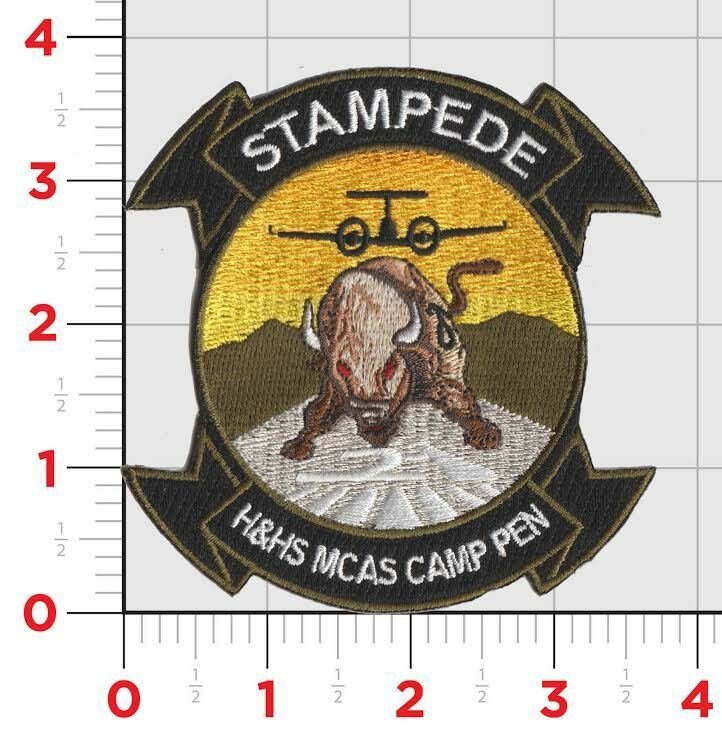 USMC MARINE CORPS CAMP PENDLETON H&HS STAMPEDE AIR SUBDUED EMBROIDERED ...