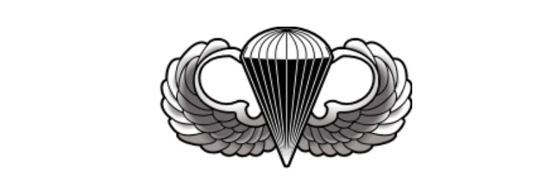 4" us military airforce jump wings dark gray bumper sticker decal usa made