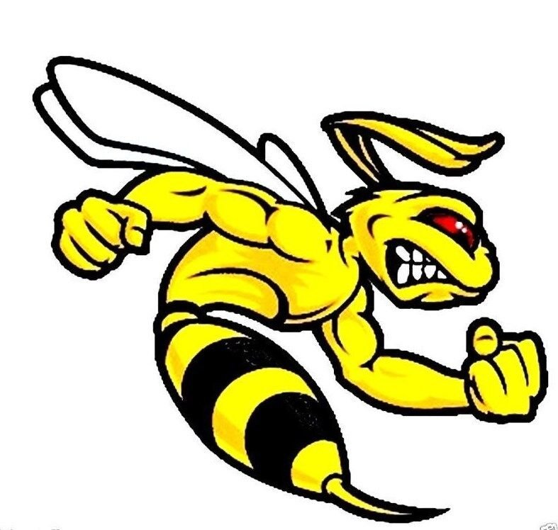 DODGE SUPER BEE FIGHTER 4" HELMET TOOLBOX BUMPER STICKER DECAL MADE IN USA