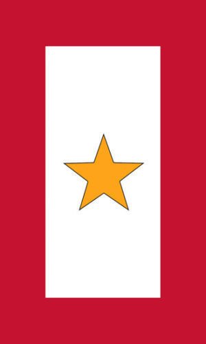 5" GOLD STAR FAMILY MEMBERS HELMET CAR BUMPER DECAL STICKER MADE IN USA