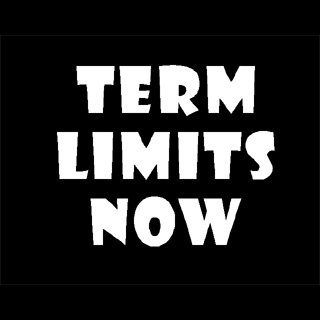 6" Term Limits Now Vinyl Decal Window Sticker