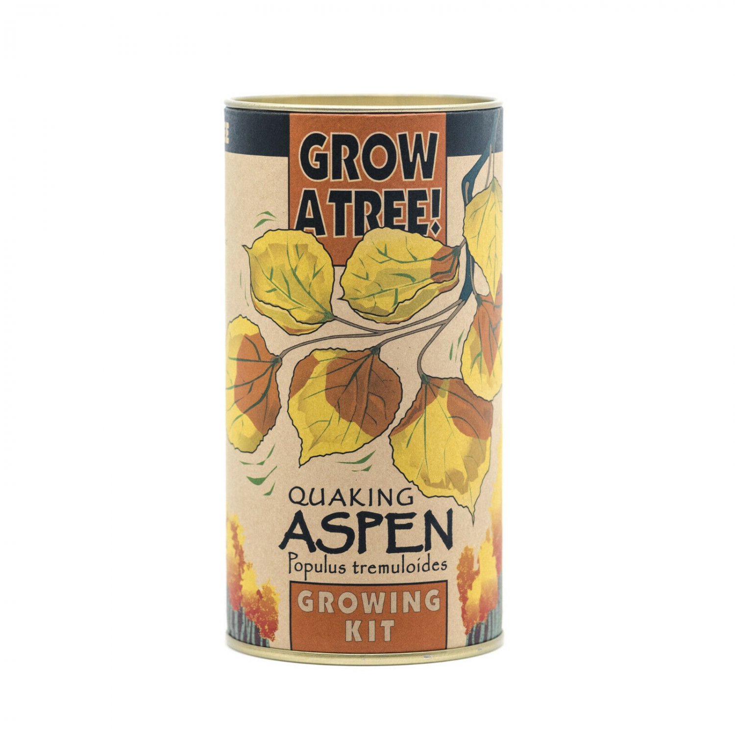 Quaking Aspen | Tree Seed Grow Kit | The Jonsteen Company