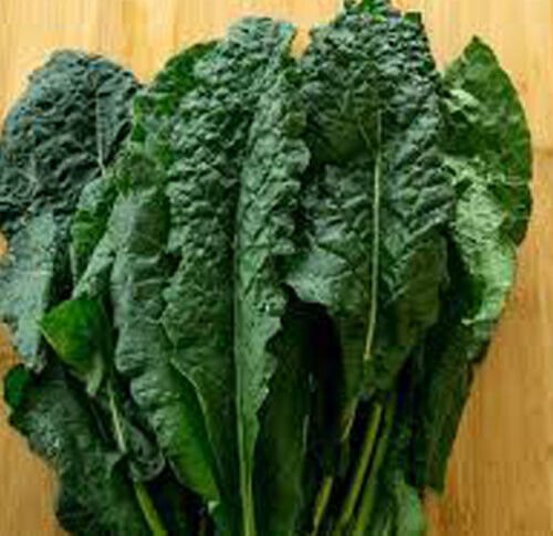 200+Lacinato Kale Seeds Dinosaur Kale Italian Heirloom Kale USA