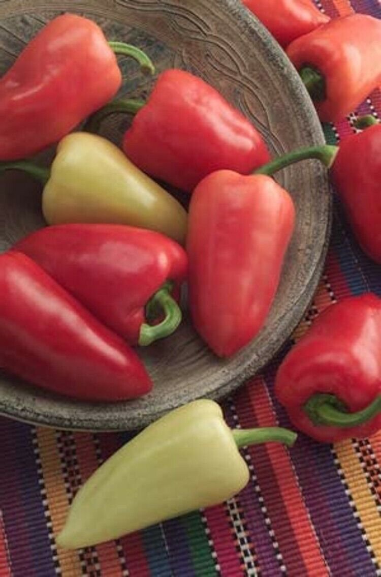 Pepper Capsicum Mildly Αnnuum Capsaicinoids Mariachi Release Endorphins ...