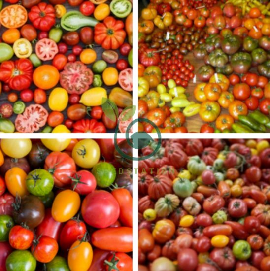 Mixed 27 Types of Different Tomato Family 200 Seeds