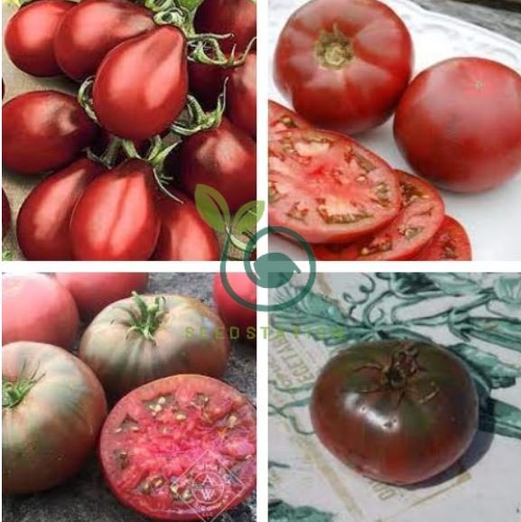 Cherokee Cherry Tomato 40 Seeds