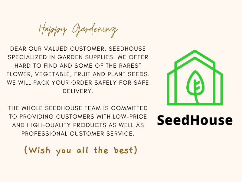 100 Edible Banana Tree ‘Dwarf Lady Finger’ (Musa acuminata) Seeds