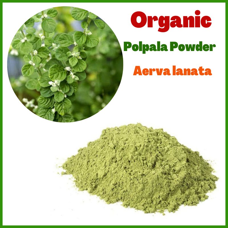 Organic Polpala (Aerva lanata) Powder 200 g Herbal Remedy For Urinary ...