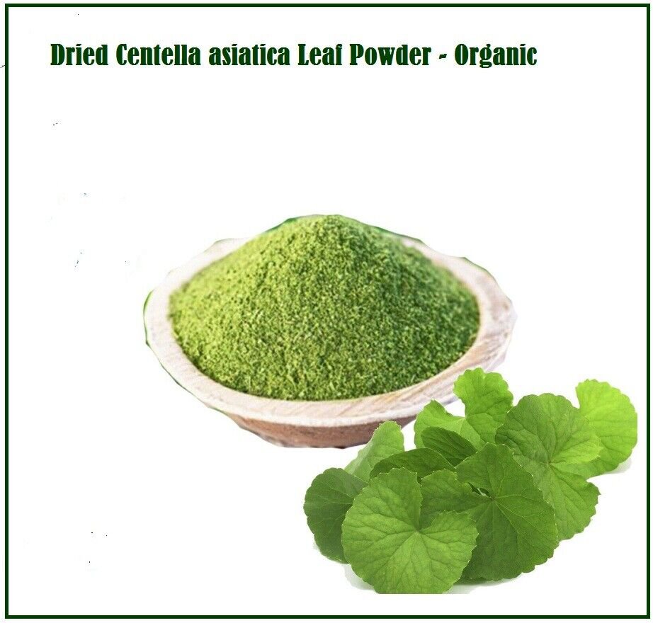 Organic Centella asiatica Leaf Ground Powder 200 g For Concentration ...