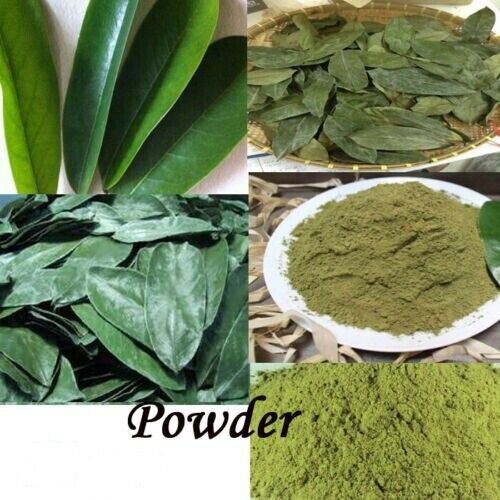 Pure Organic Soursop Leaf Powder/Graviola/Annona/ Muricata Leaf Herbal ...
