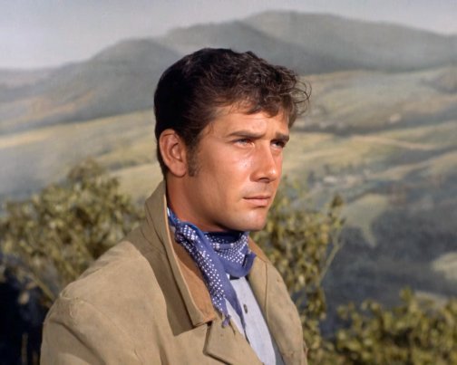 Robert Fuller Laramie 8x10 Photo Zrp 10