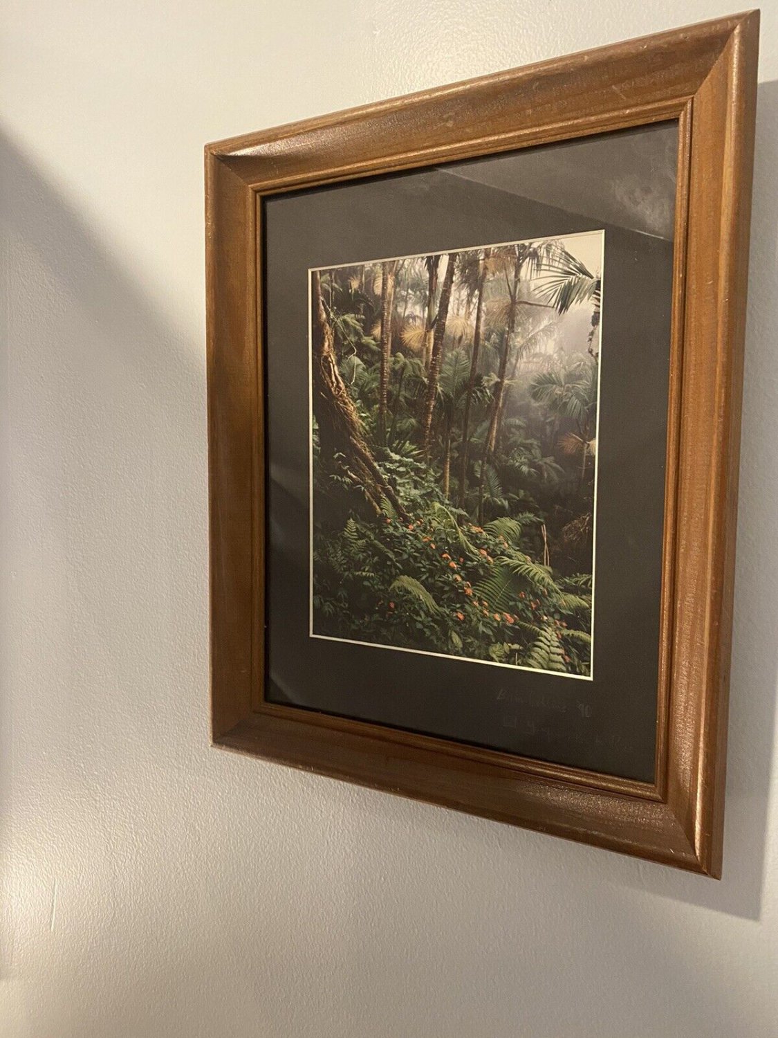 Signed Brian Collins ‘90 El Yunque Puerto Rico Frame